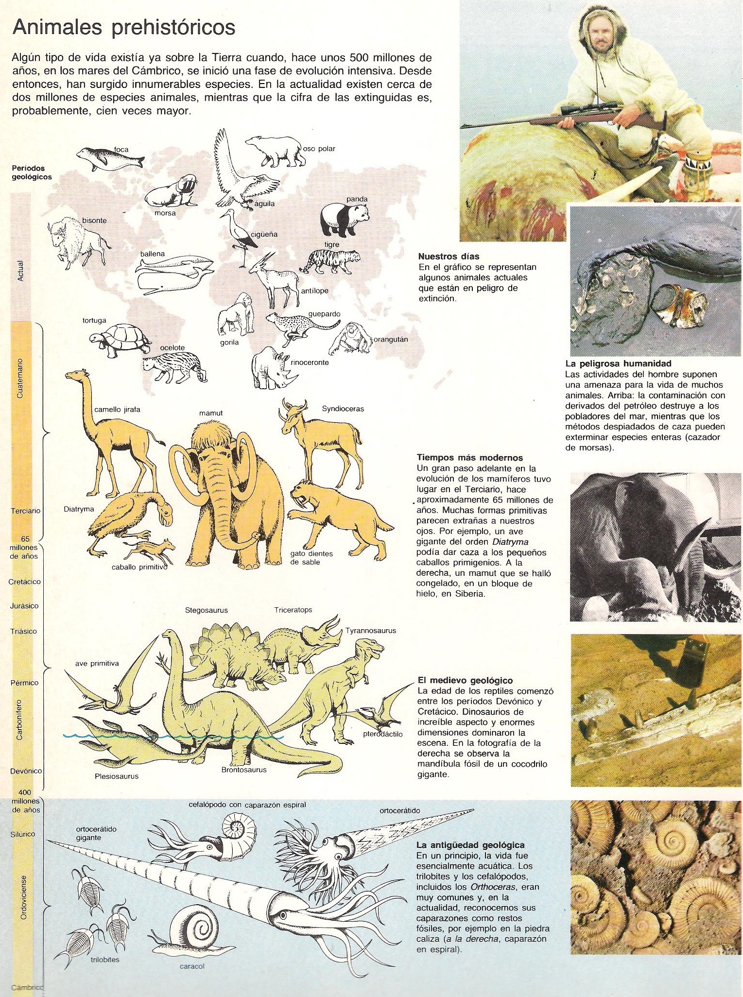 Animales prehistóricos